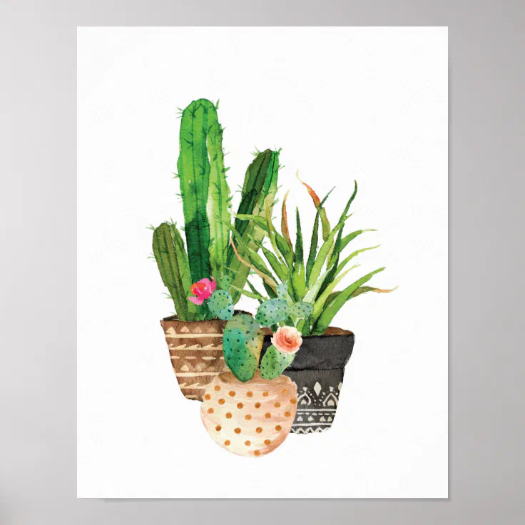Affiche Cactus aquarelle et groupe de succulents | Zazzle.fr