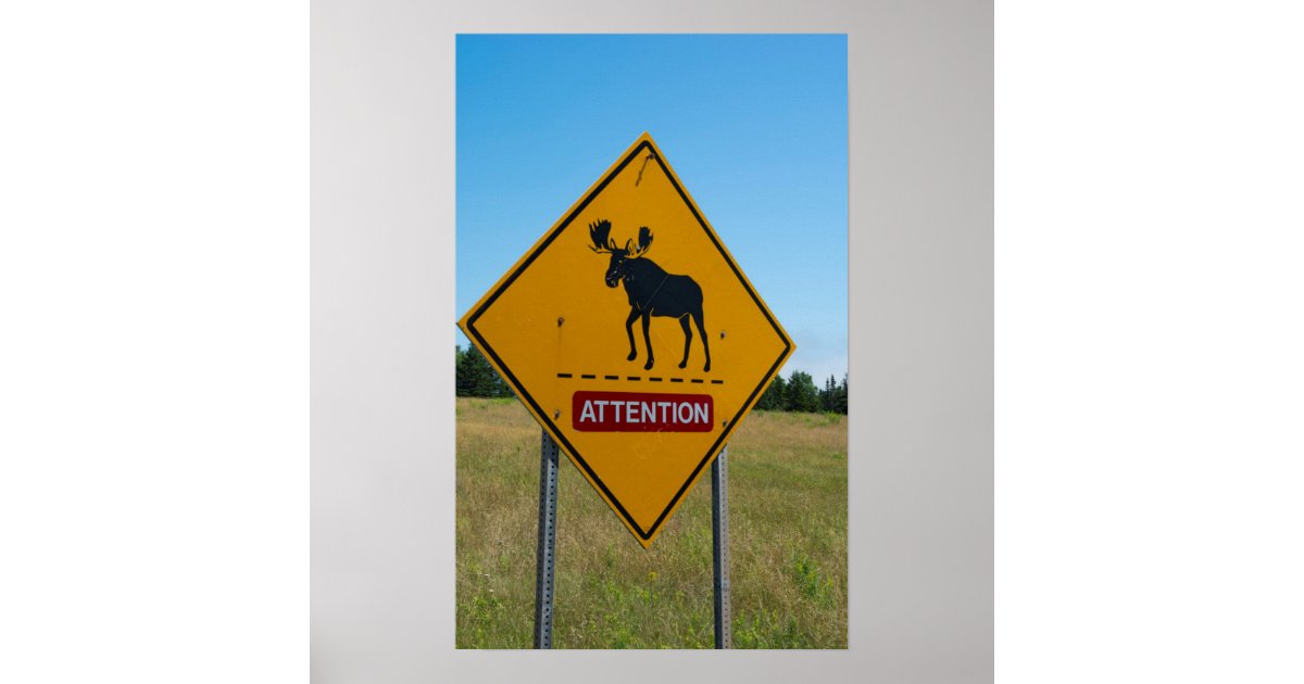 Affiches Moose Warning Sign | Zazzle.fr