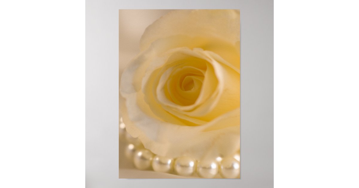 Affiches Rose blanche et perles | Zazzle.fr