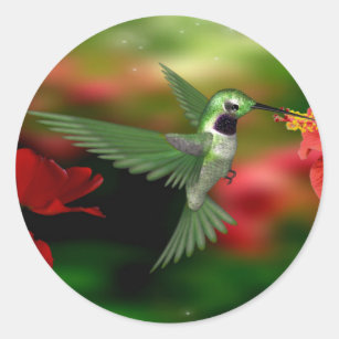 Autocollants & Stickers Colibri Et Fleur | Zazzle.fr