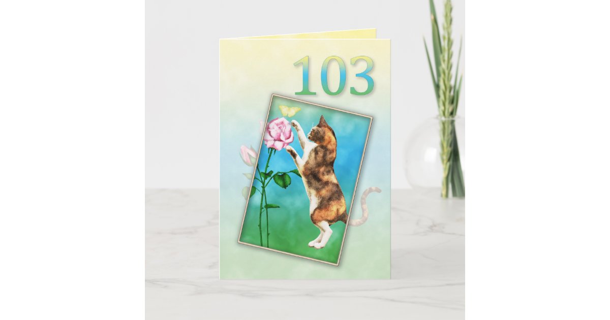 Carte 103e anniversaire avec un chat ludique | Zazzle.fr