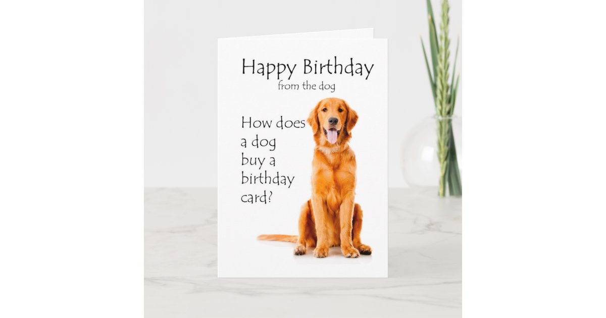 Carte Funny Golden Birthday Card Zazzle fr carte-funny-golden-birthday-card-zazzle-fr