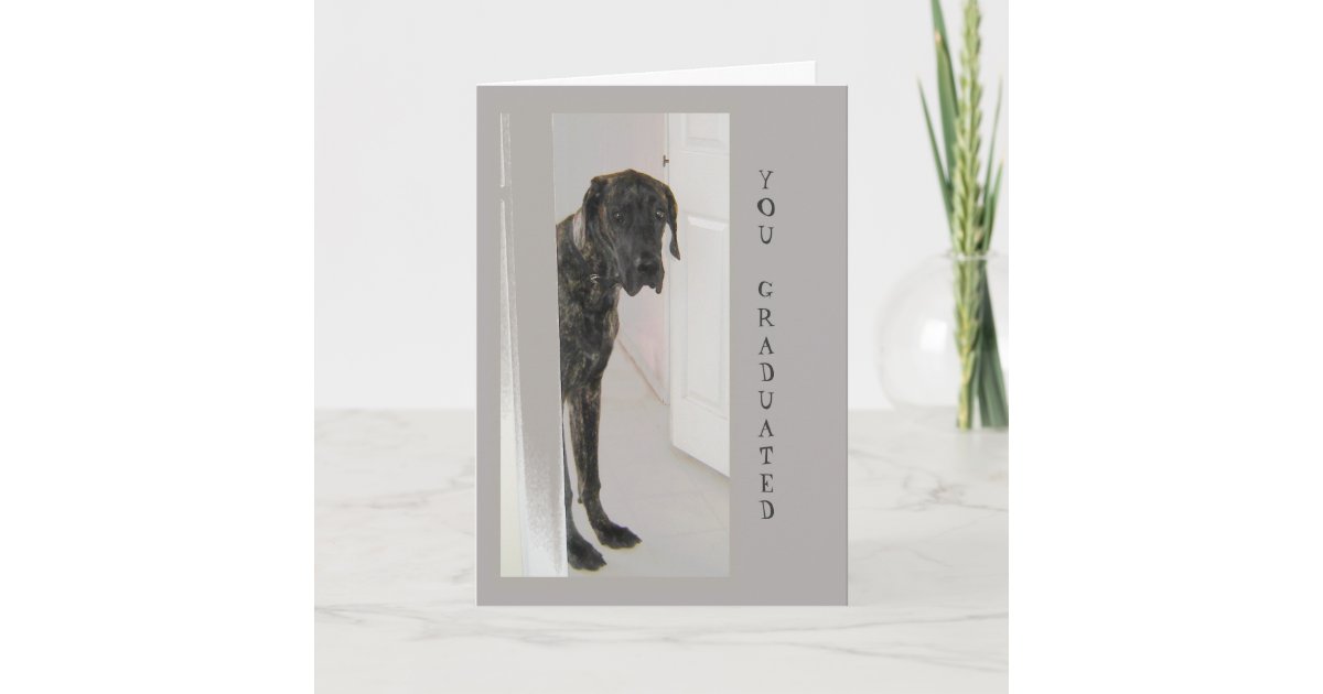 Carte Great Dane Pet Chien Humour Félicitations Grad | Zazzle.fr