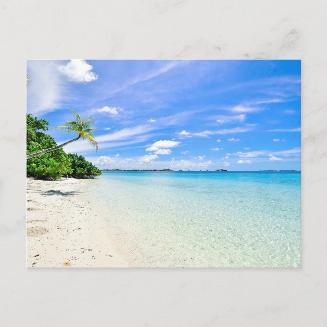 Carte Postale Maldives beach scene postcard | Zazzle.fr