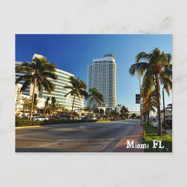 Carte Postale Miami FL | Zazzle.fr