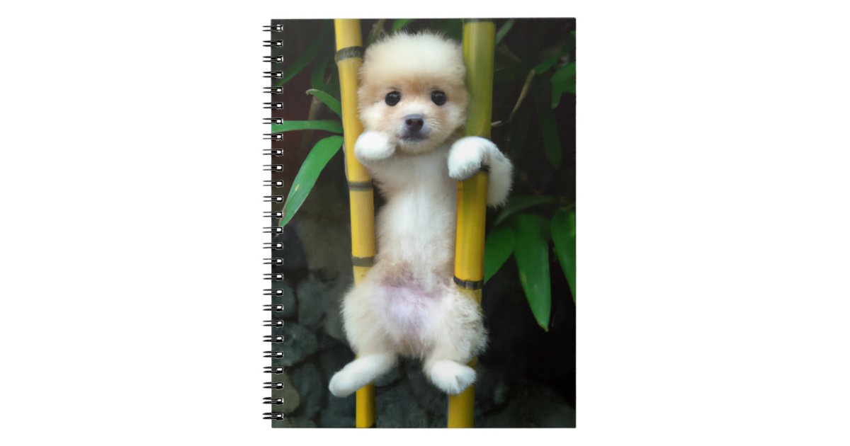 Cute Carnet chiot Gaejook 개 죽 이 | Zazzle.fr