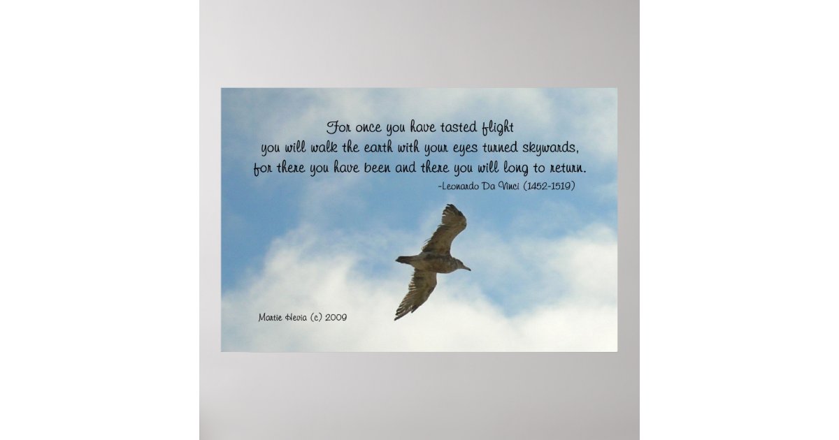 Famous Words: Flight - Seagull - Poster | Zazzle.fr