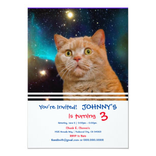Invitations & Faire-part Chaton | Zazzle.fr