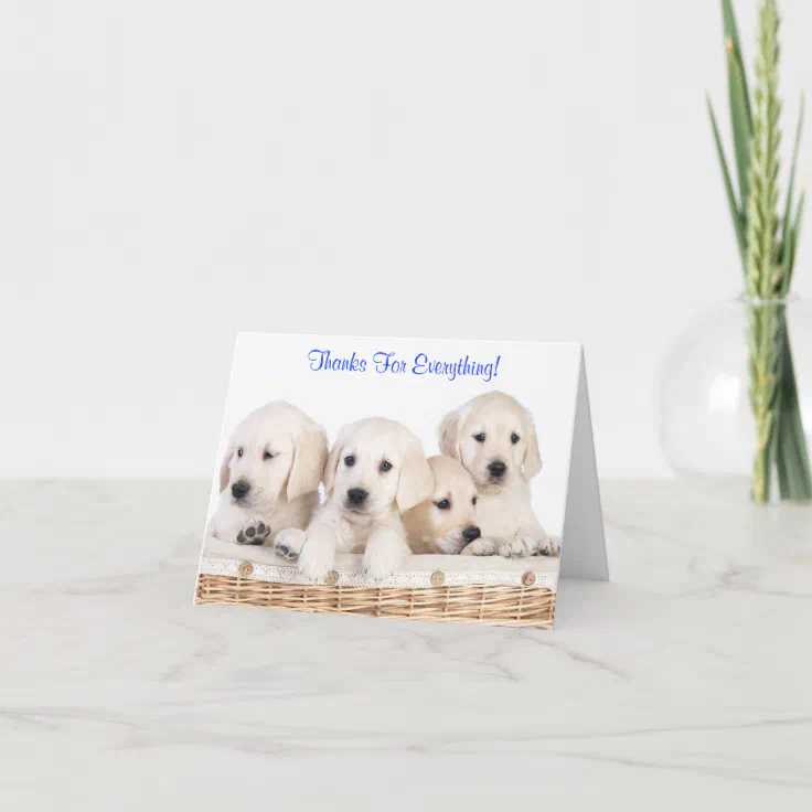 Merci Labrador Retriever Puppy Dogs Card | Zazzle.fr
