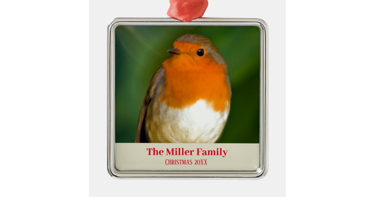Ornement Carré Argenté Robin Red Breast personnalisable | Zazzle.fr