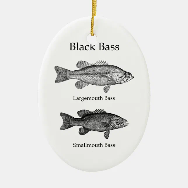 Ornement En Céramique Basse noire (schéma) | Zazzle.fr