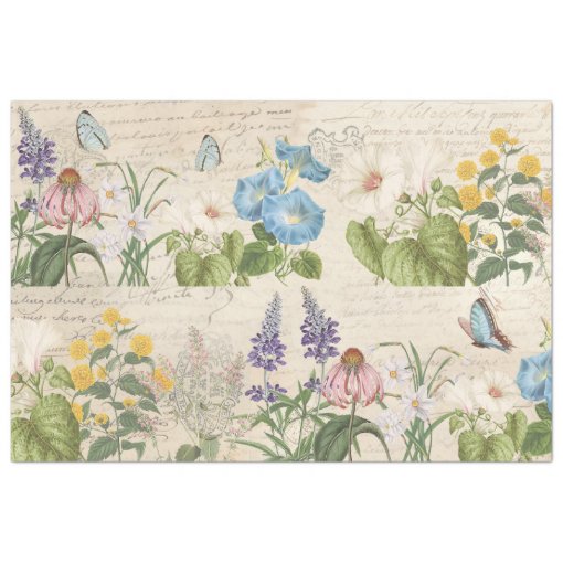 Papier Mousseline Découpage de l'éphémère papillon Fleur sauvage bot ...