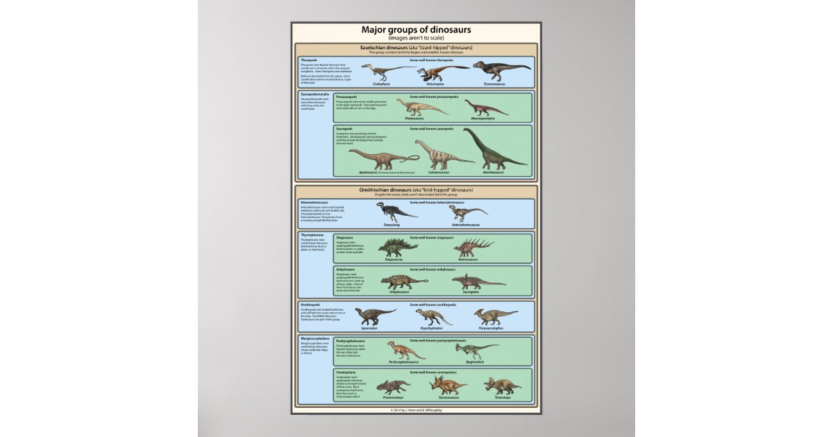 Poster Classification des dinosaures simplifiée | Zazzle.fr