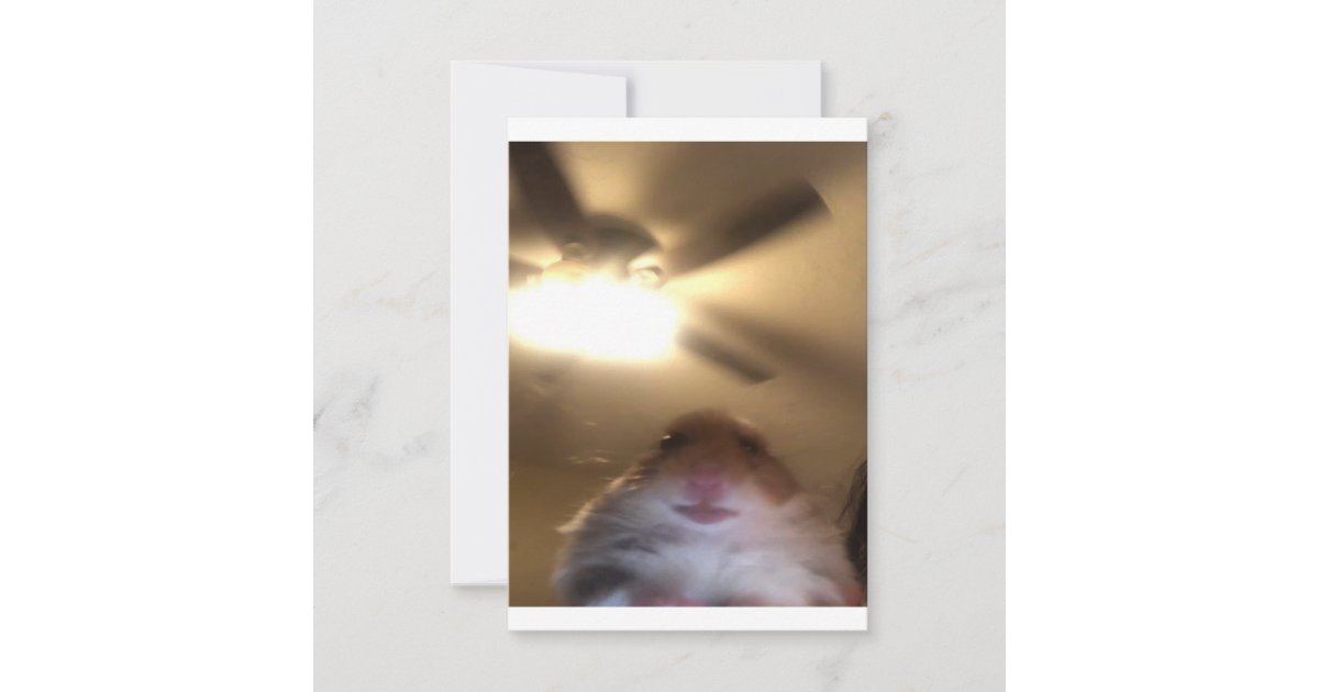 Save The Date Mème de Hamster Staring | Zazzle.fr