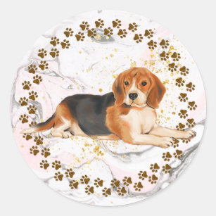 Autocollants & Stickers Beagle | Zazzle.fr