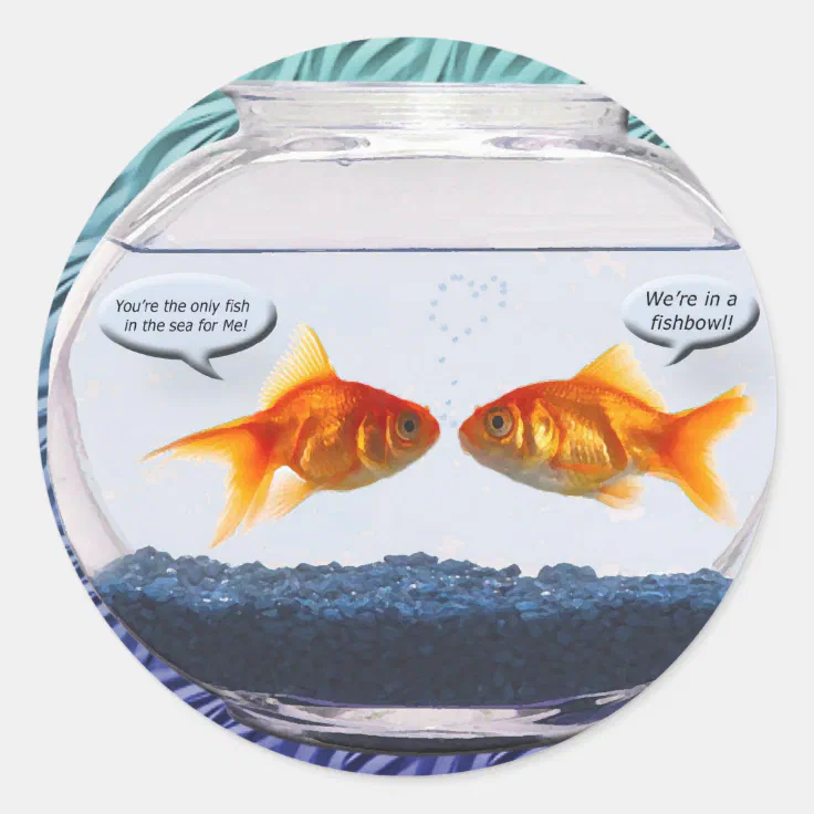 Sticker Rond Humour de bocal à poissons de poisson rouge | Zazzle.fr