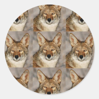Autocollants & Stickers Coyote personnalisés | Zazzle.fr